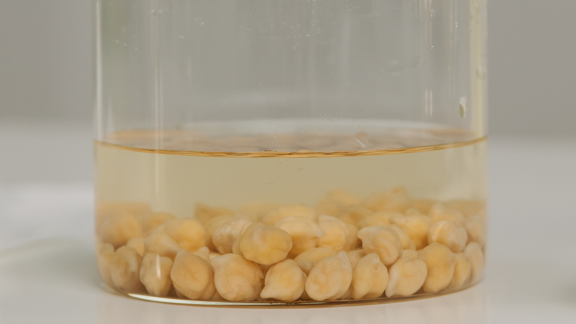 Health Benefits of Beans and Legumes for Energy & Digestion